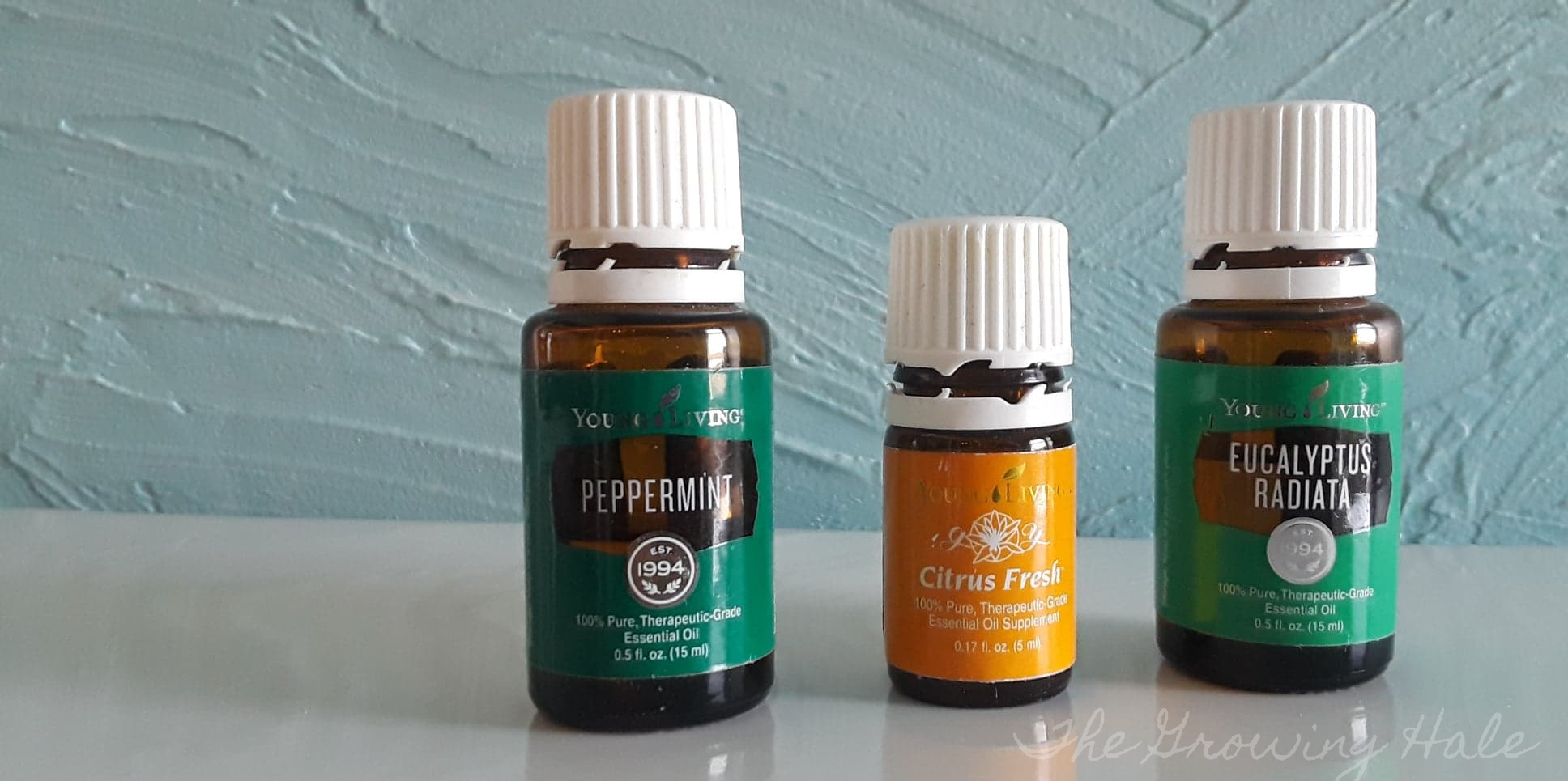 New Year Refresh Diffuser Blend – The Growing Hale